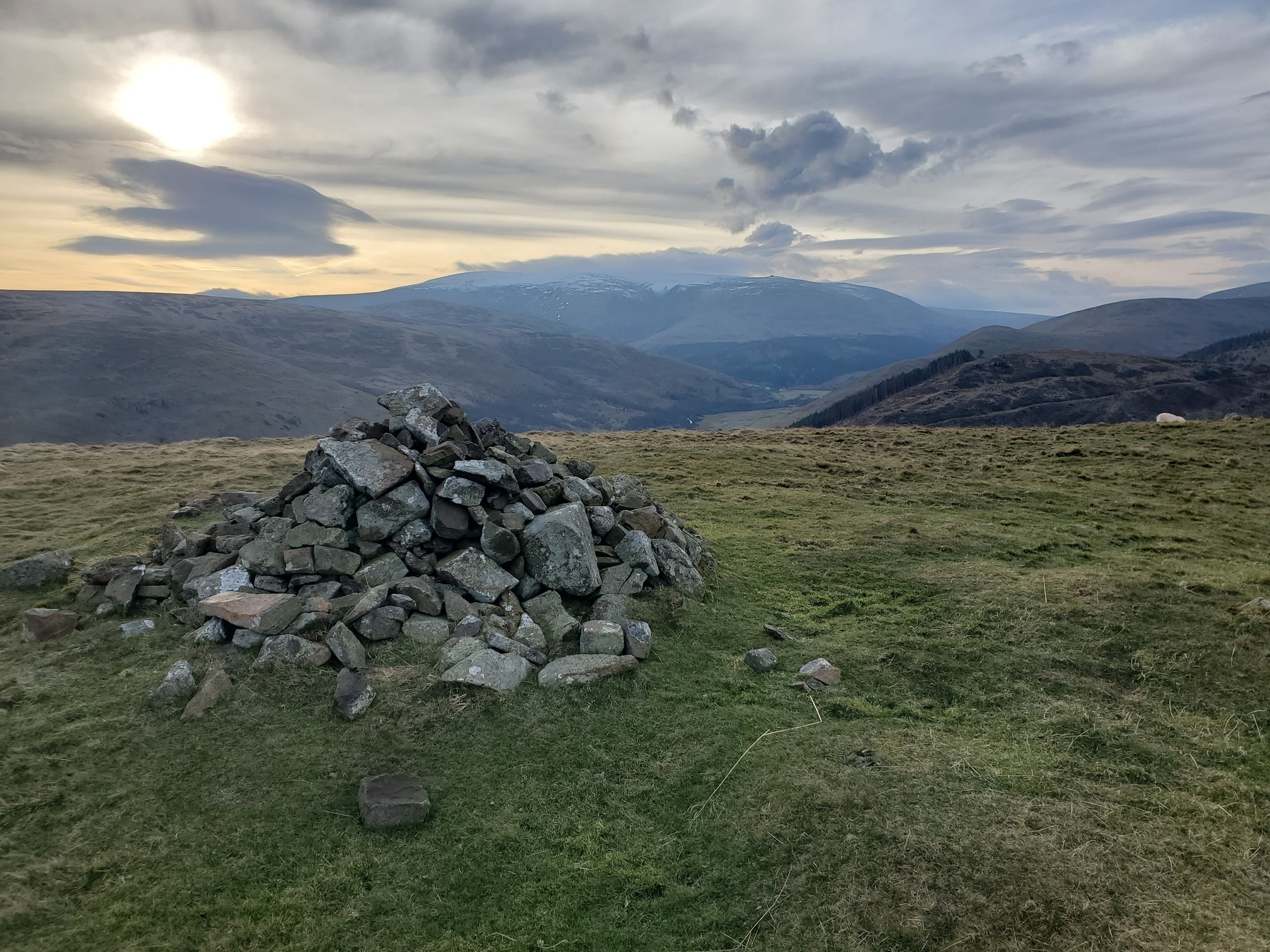 Nellie Herons Memorial - Sarah Dalrymple